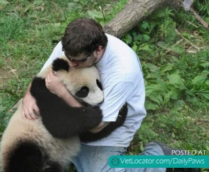 Friendship between Animal and Human « Daily Paws